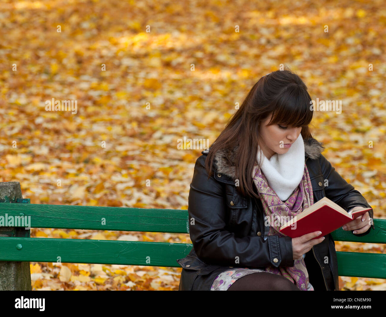 Beautiful young woman reads book Stock Photo - Alamy