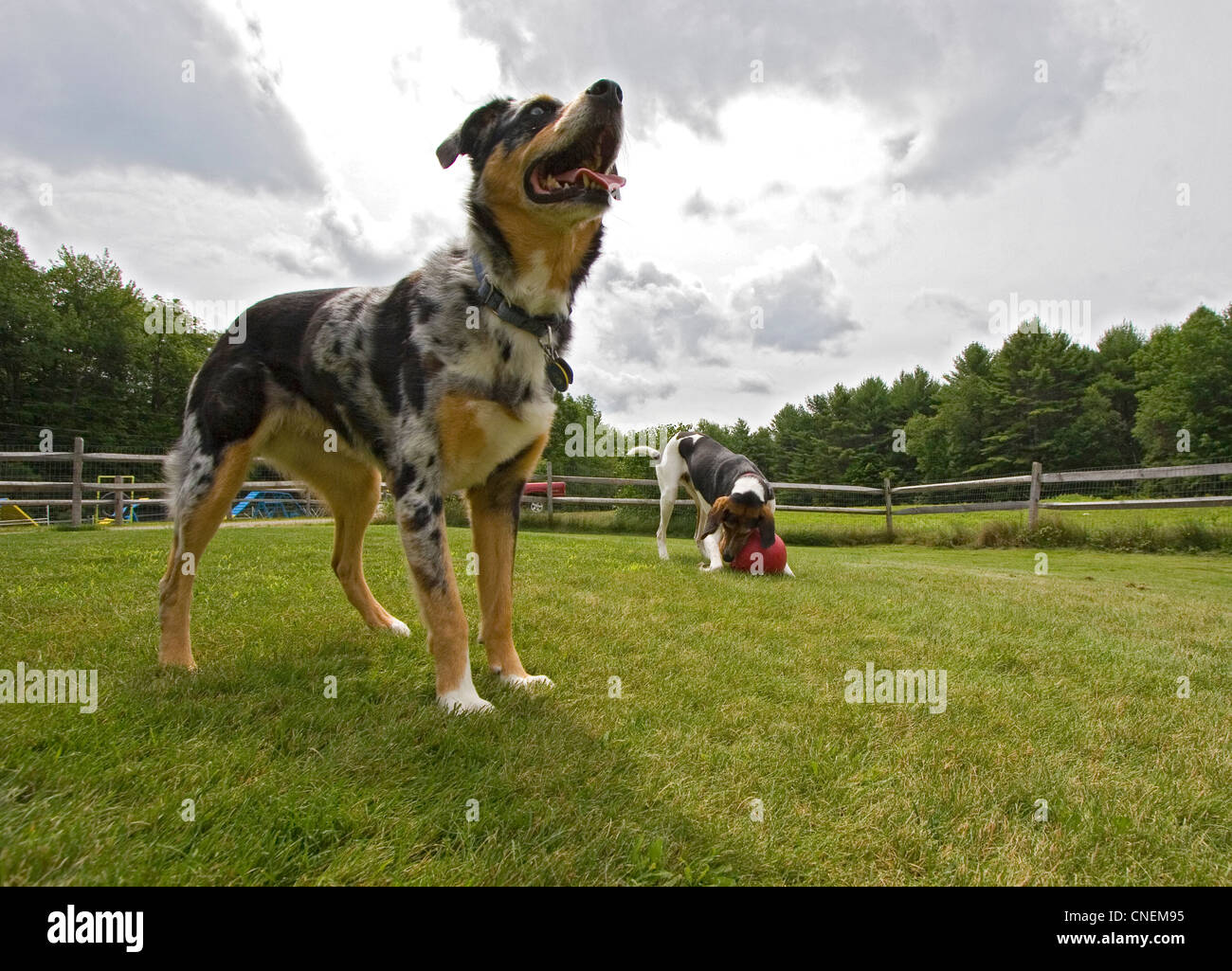 Outsideyard hi-res stock photography and images - Alamy