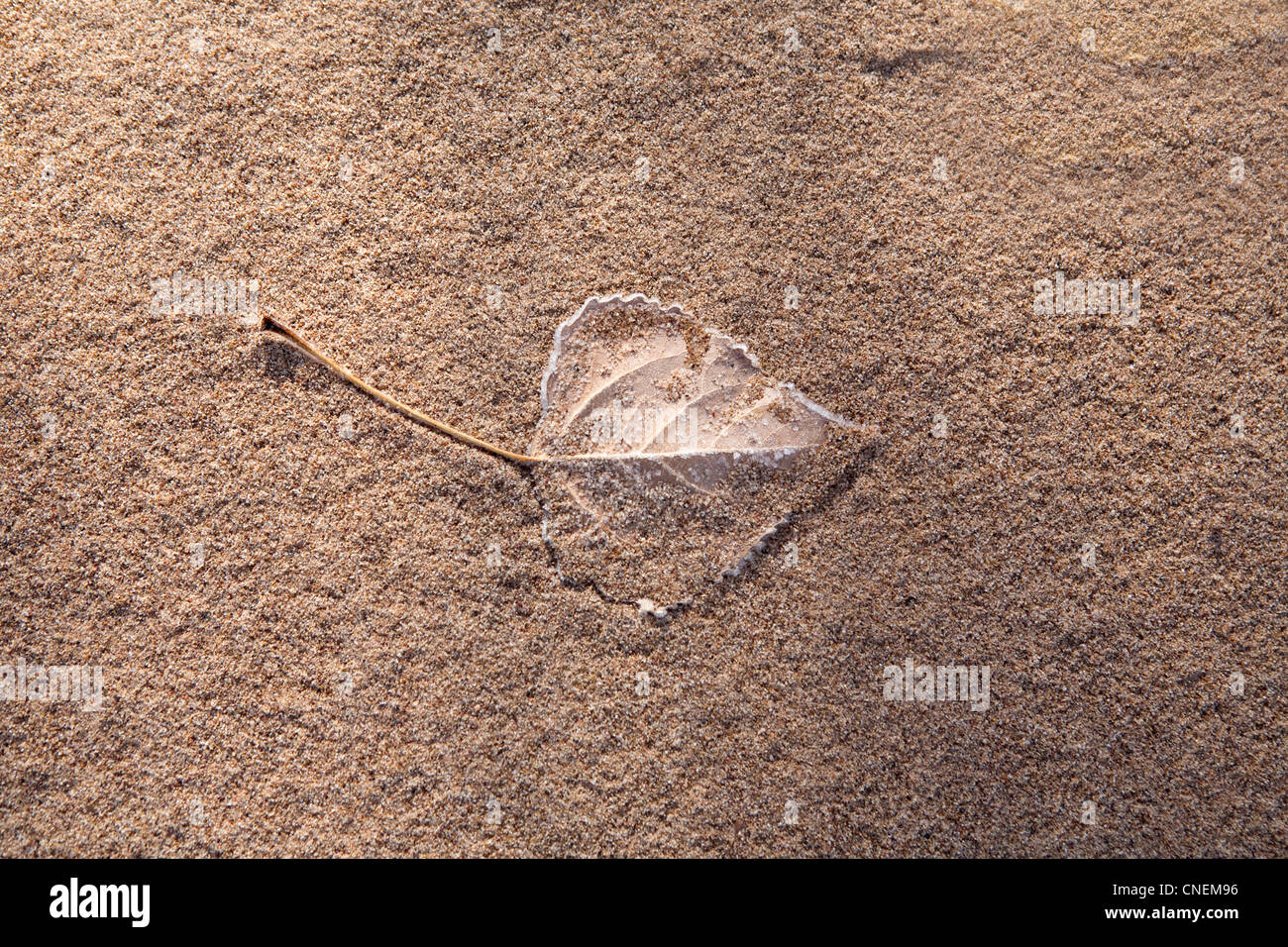 Blcook hi-res stock photography and images - Alamy