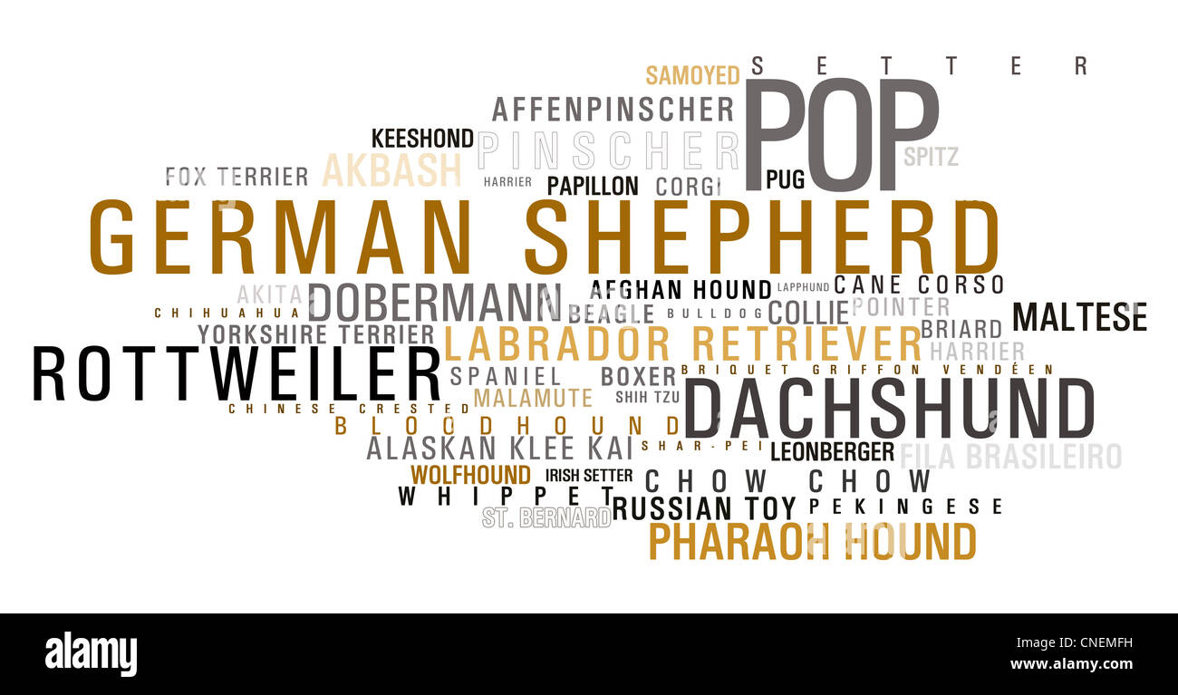 A list of dog breeds words on white Stock Photo - Alamy