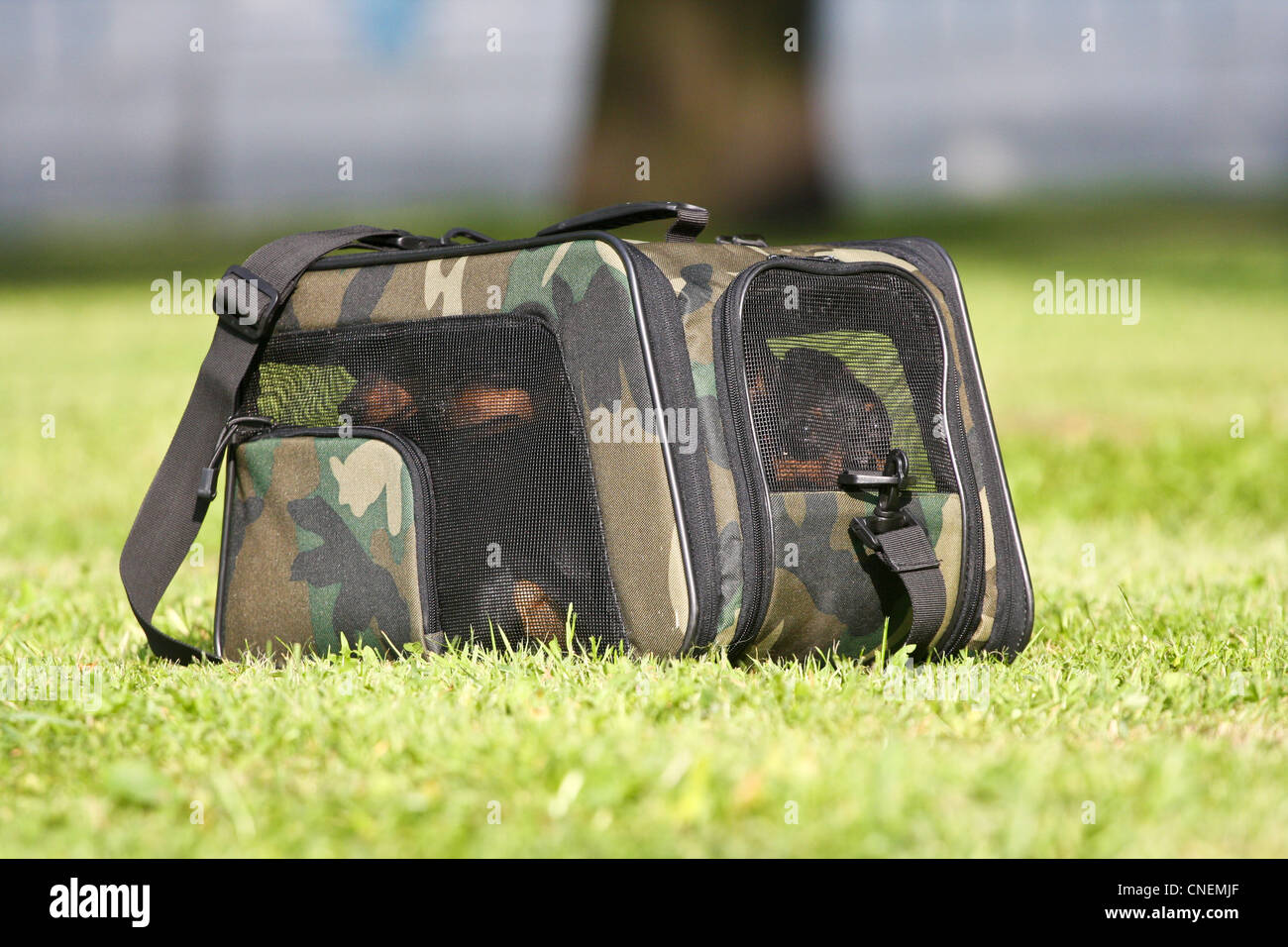 Carrying small bag hi-res stock photography and images - Alamy