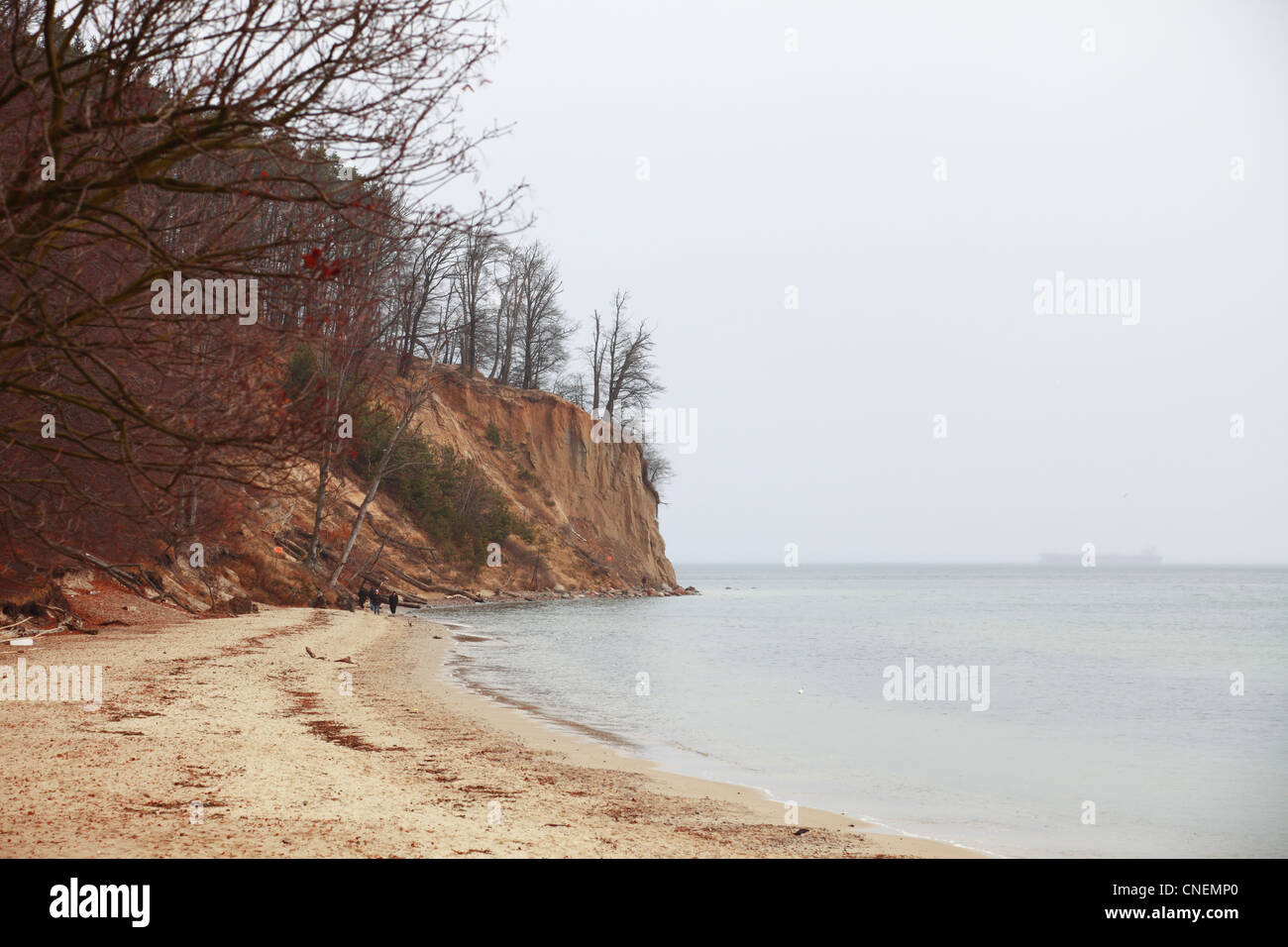 autumn baltic sea cliff in Orlowo, Gdynia Poland Stock Photo - Alamy