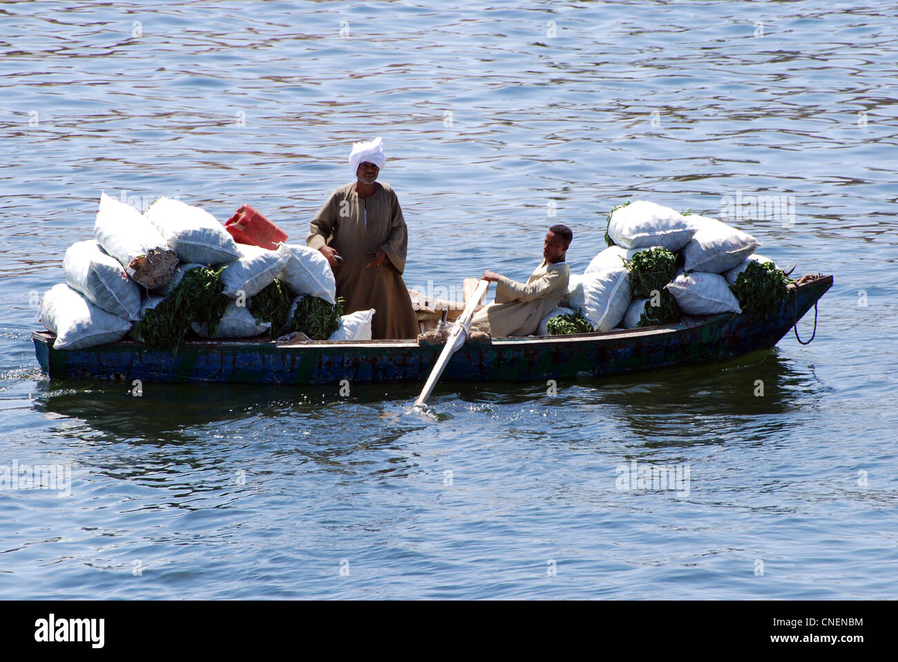 nile transport number 3120 Stock Photo - Alamy