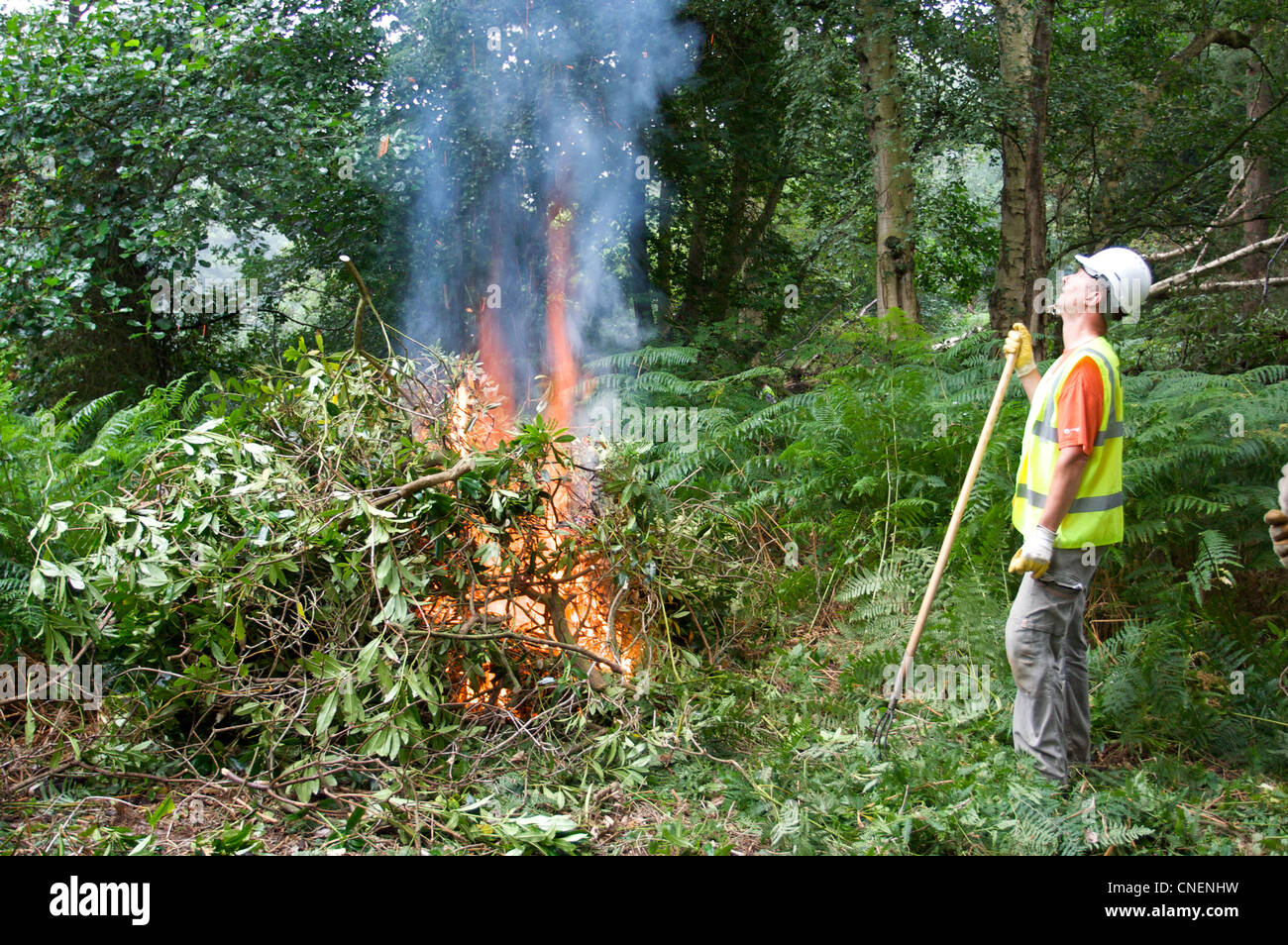 Su a hi-res stock photography and images - Alamy