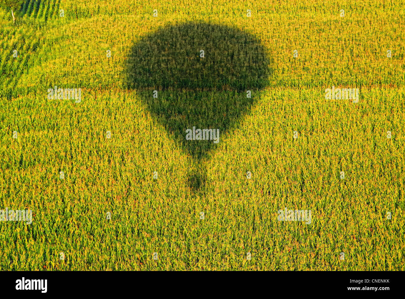 Tezze sul brenta hi-res stock photography and images - Alamy