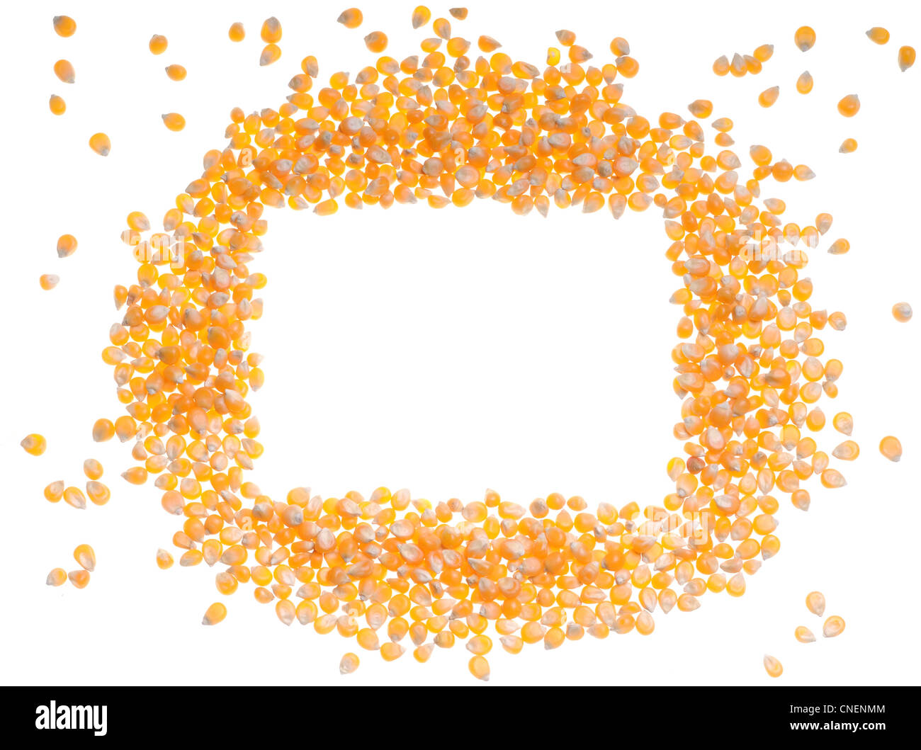 dried corn seeds frame Stock Photo - Alamy