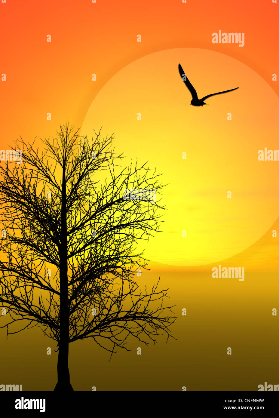 Tree and bird with beautiful sunset view Stock Photo - Alamy