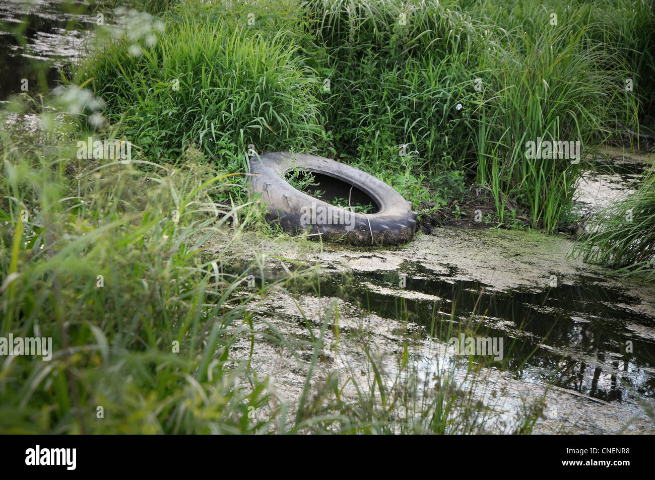 Old tyre in river hi-res stock photography and images - Alamy