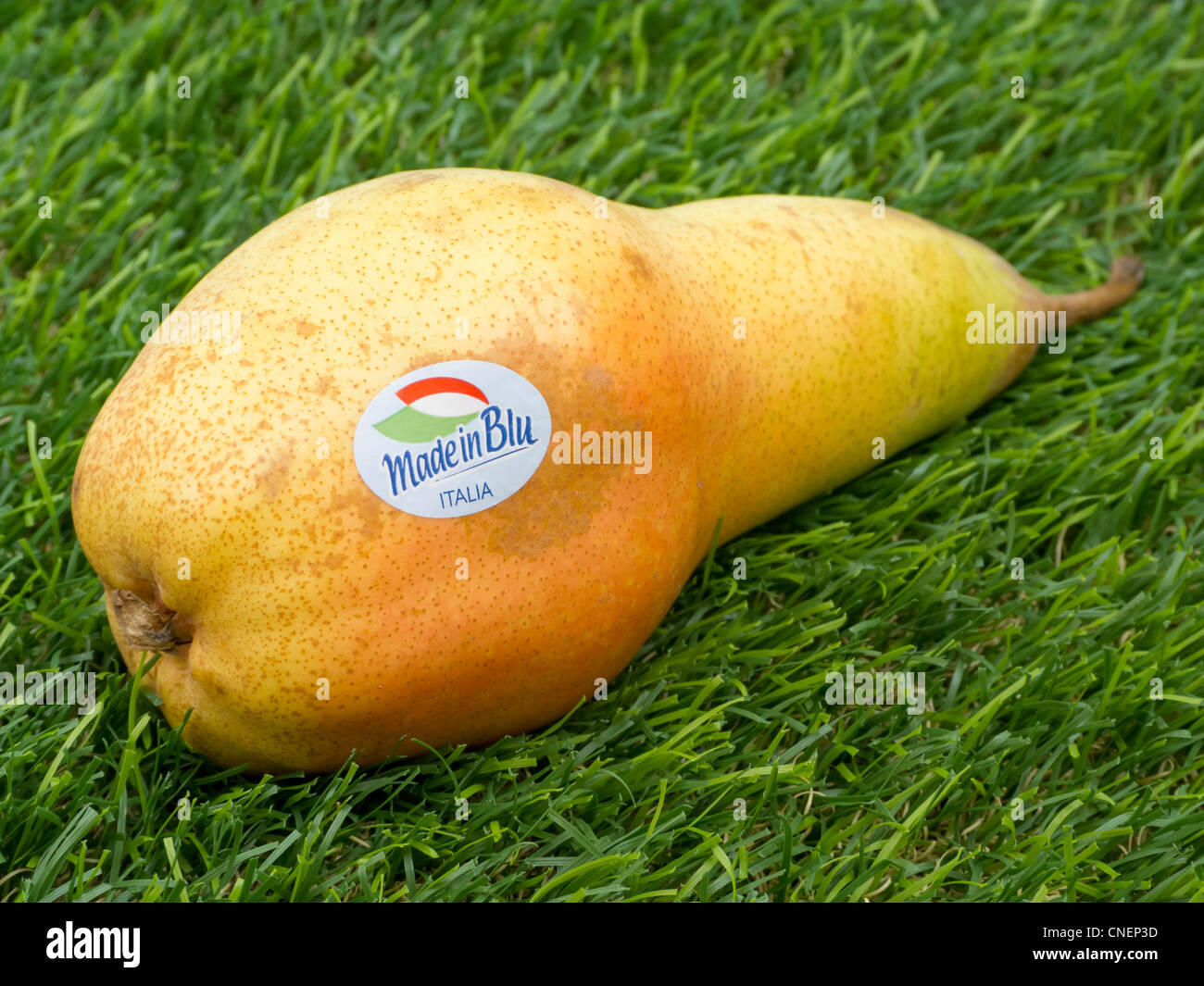 Italian Pear in Grass Stock Photo - Alamy