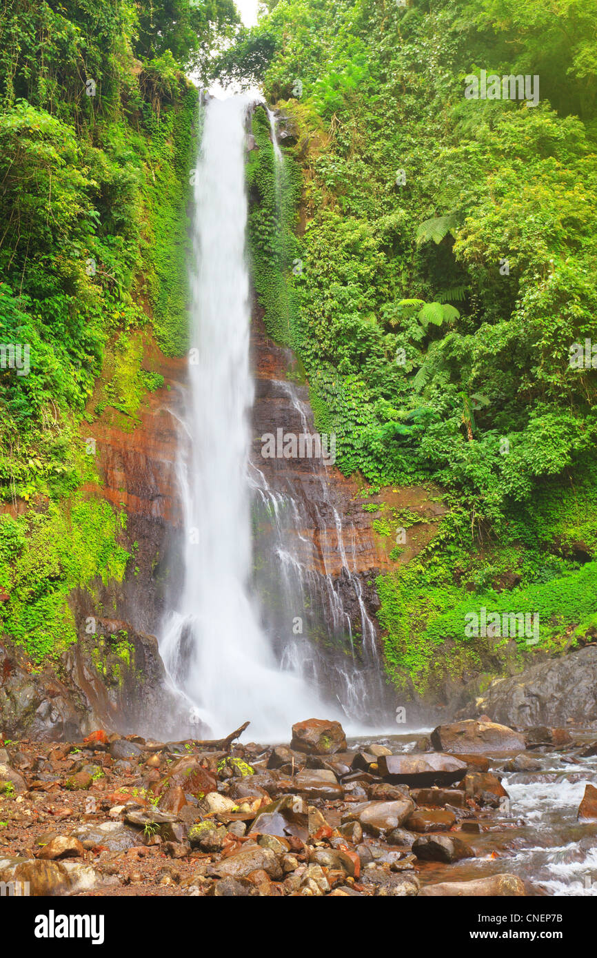 Beautiful waterfall in rainforest. Bali Stock Photo - Alamy