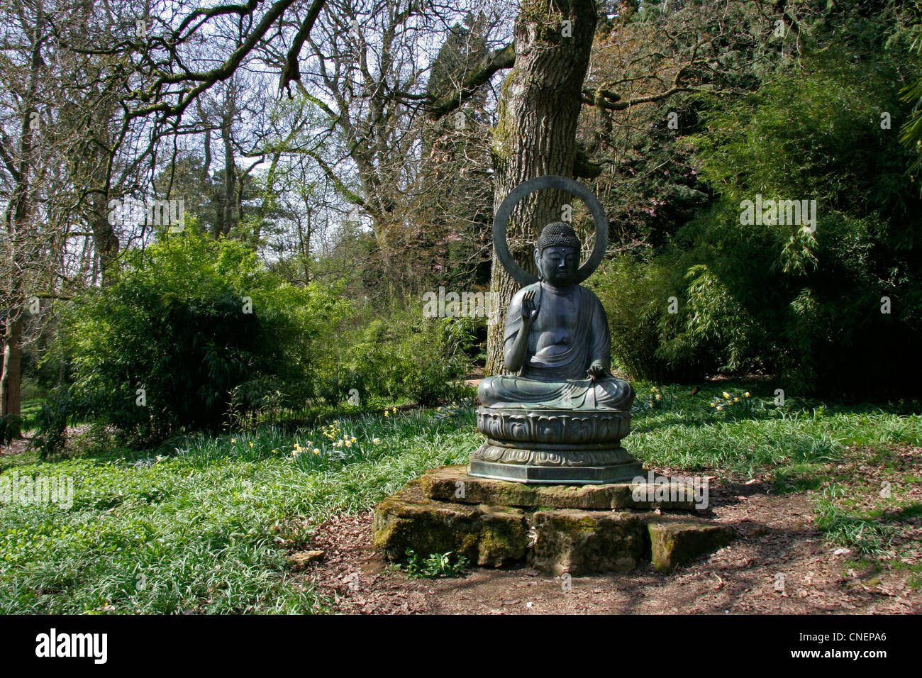 Spring buddha hi-res stock photography and images - Alamy