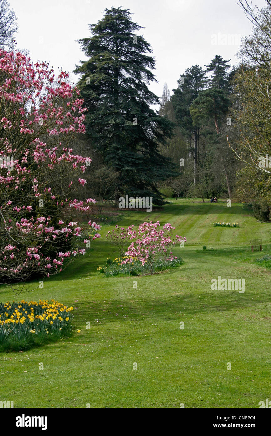 Batsford arboretum blossom hi-res stock photography and images - Alamy