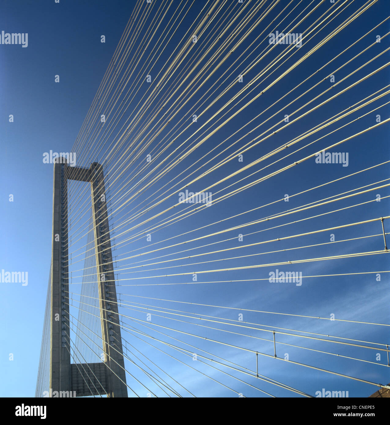 Cables bridge hi-res stock photography and images - Alamy