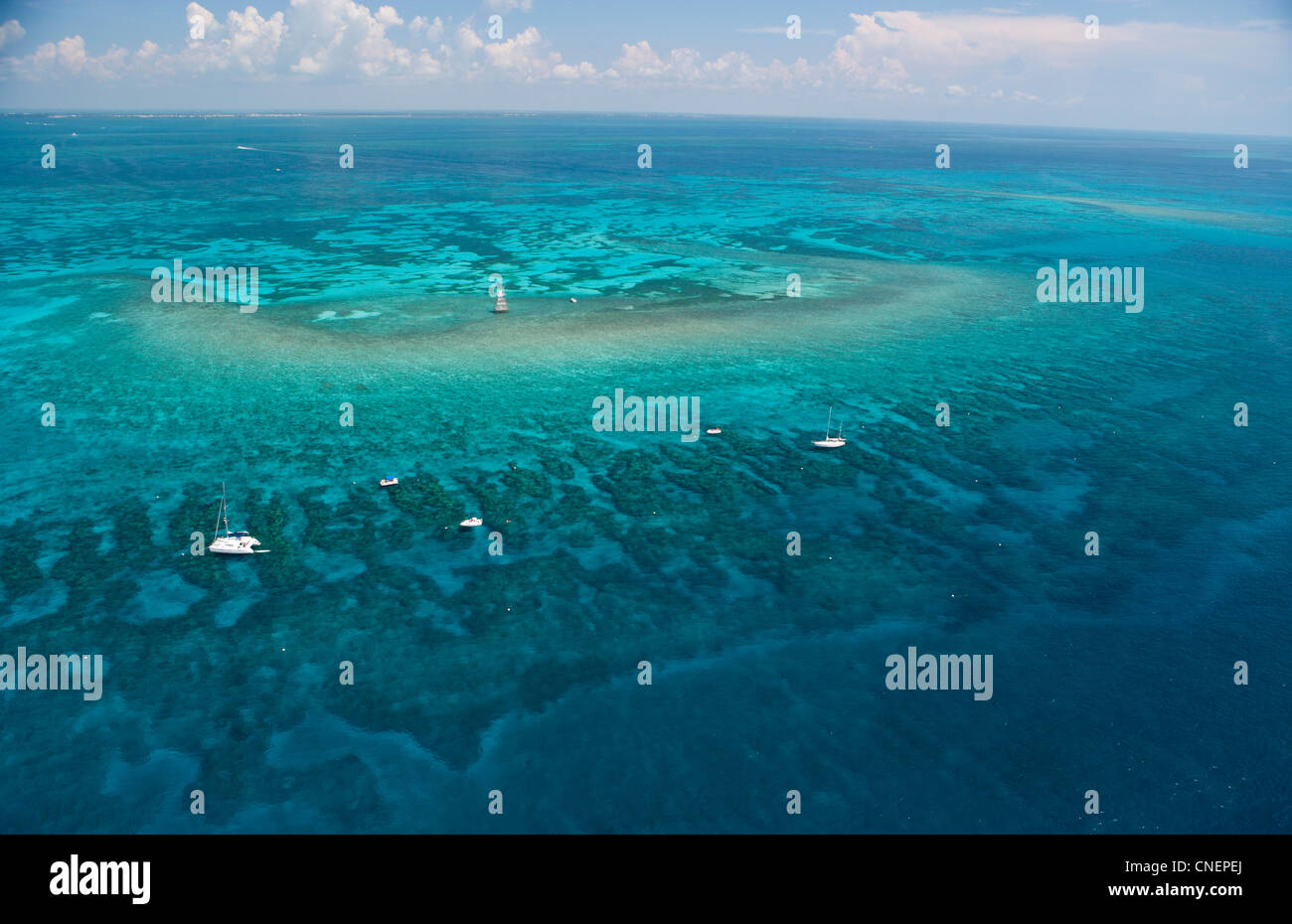Spur and groove coral formation hi-res stock photography and images - Alamy