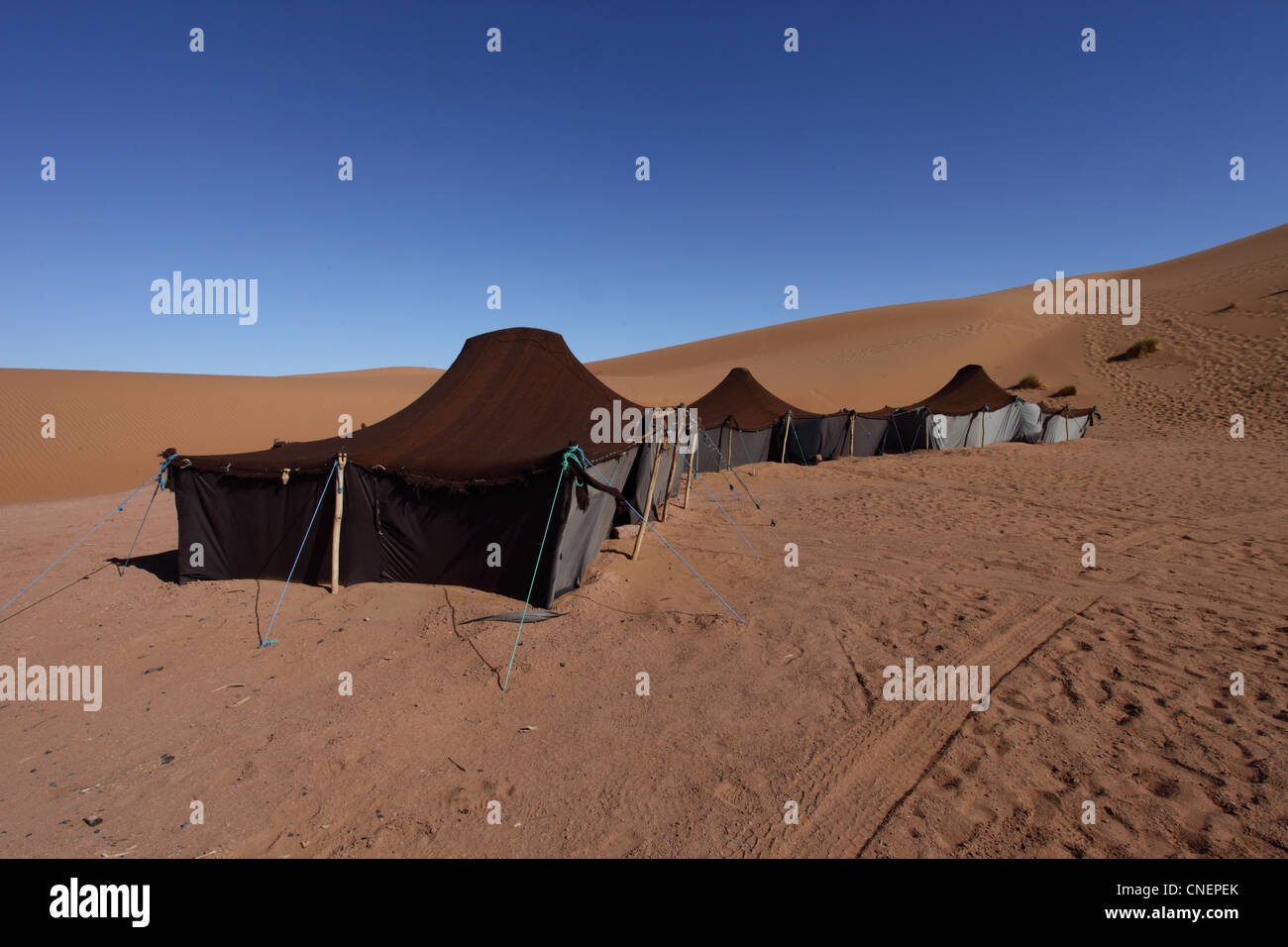 Traditional nomad Berber tents made from woven camel hair, Morocco ...