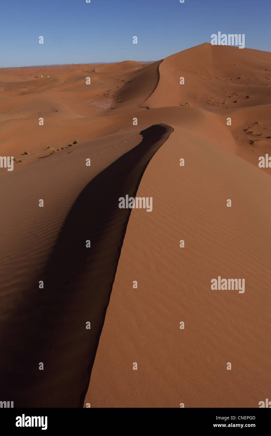 Sand dunes in the Sahara desert Morocco Africa Stock Photo - Alamy