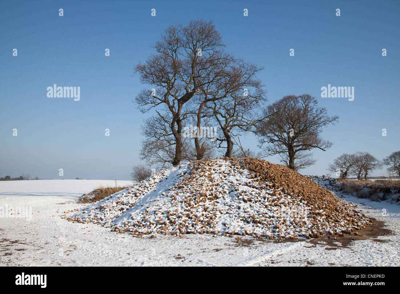 Snow covered field in norfolk hi-res stock photography and images - Alamy