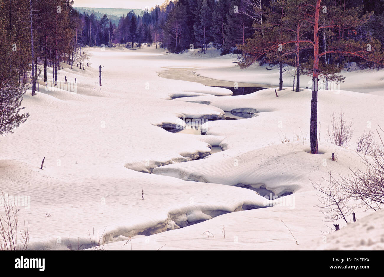 Siberia winter panorama hi-res stock photography and images - Alamy