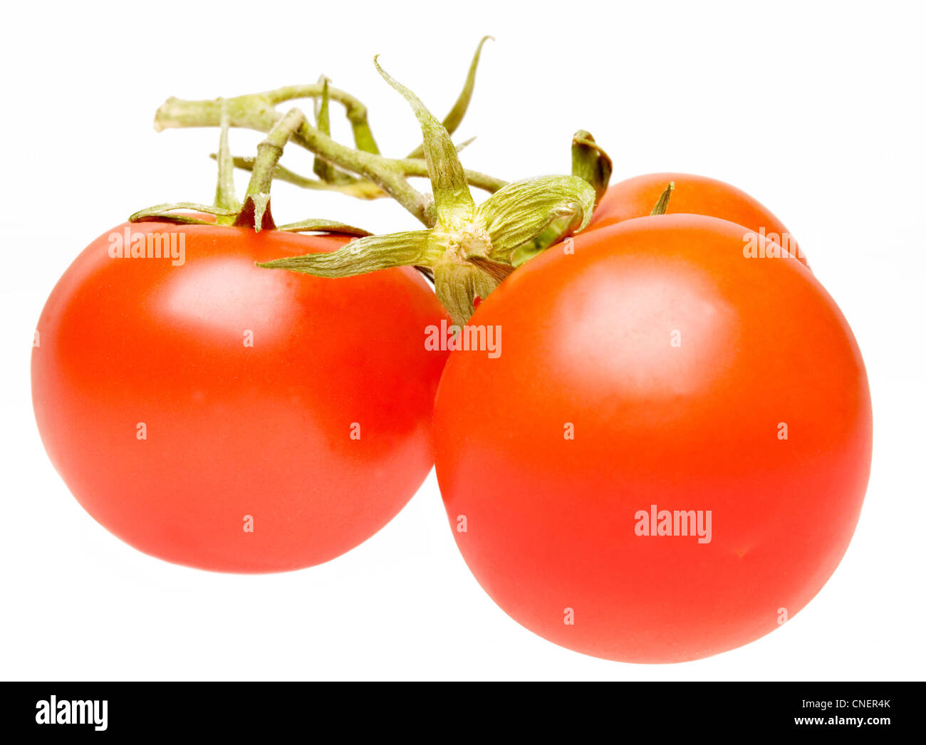 Three red tomatoes with bottom illumination Stock Photo - Alamy