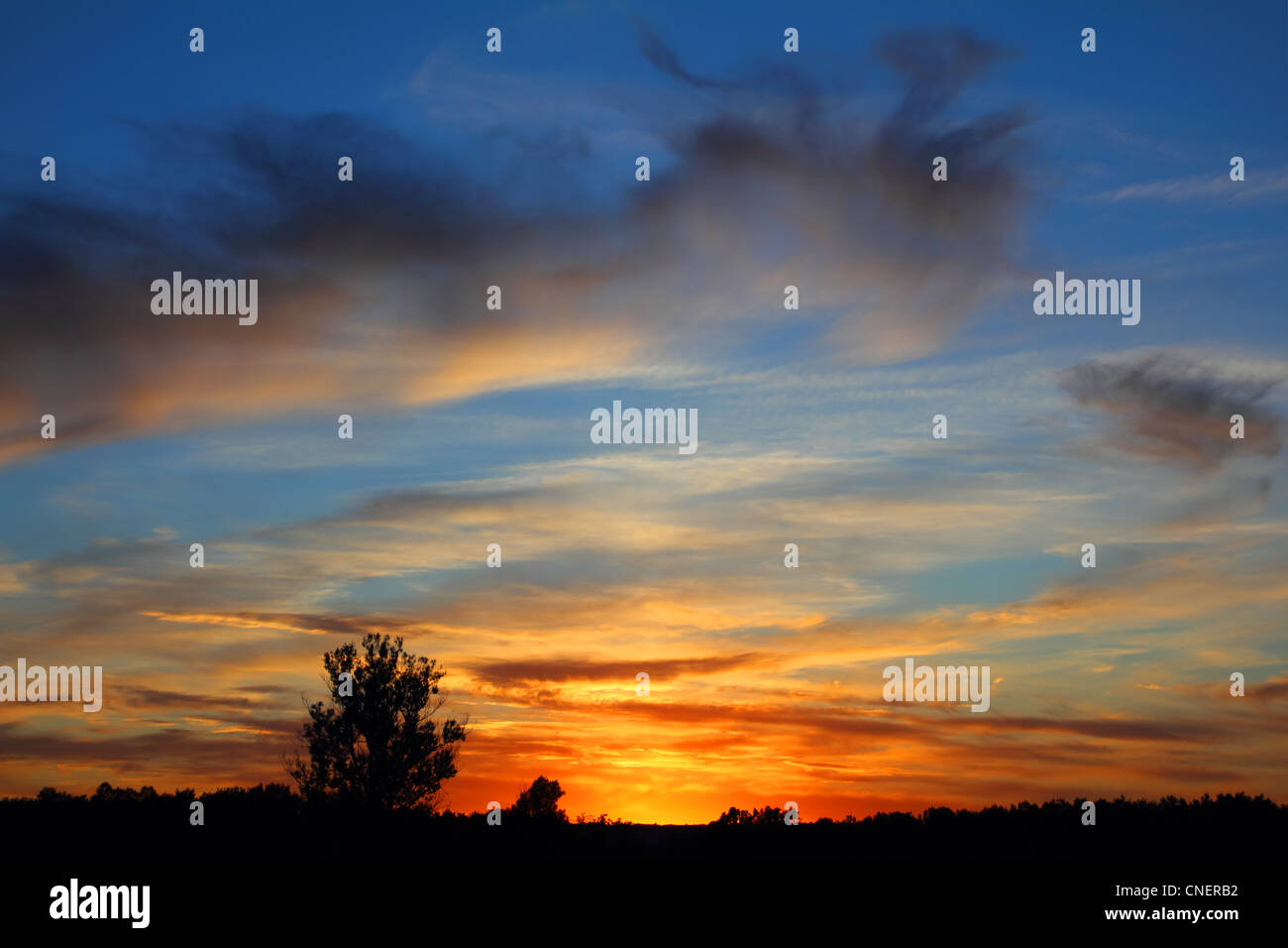 evening sky landscape with beautiful sunset Stock Photo - Alamy