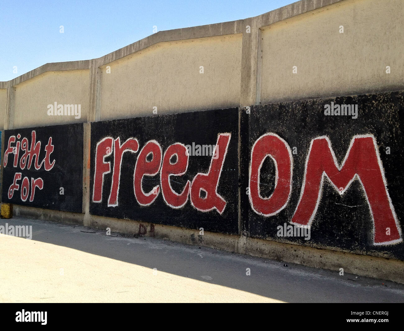 "Fight for Freedom" new Pro-revolutionary mural painting in Maadi ...