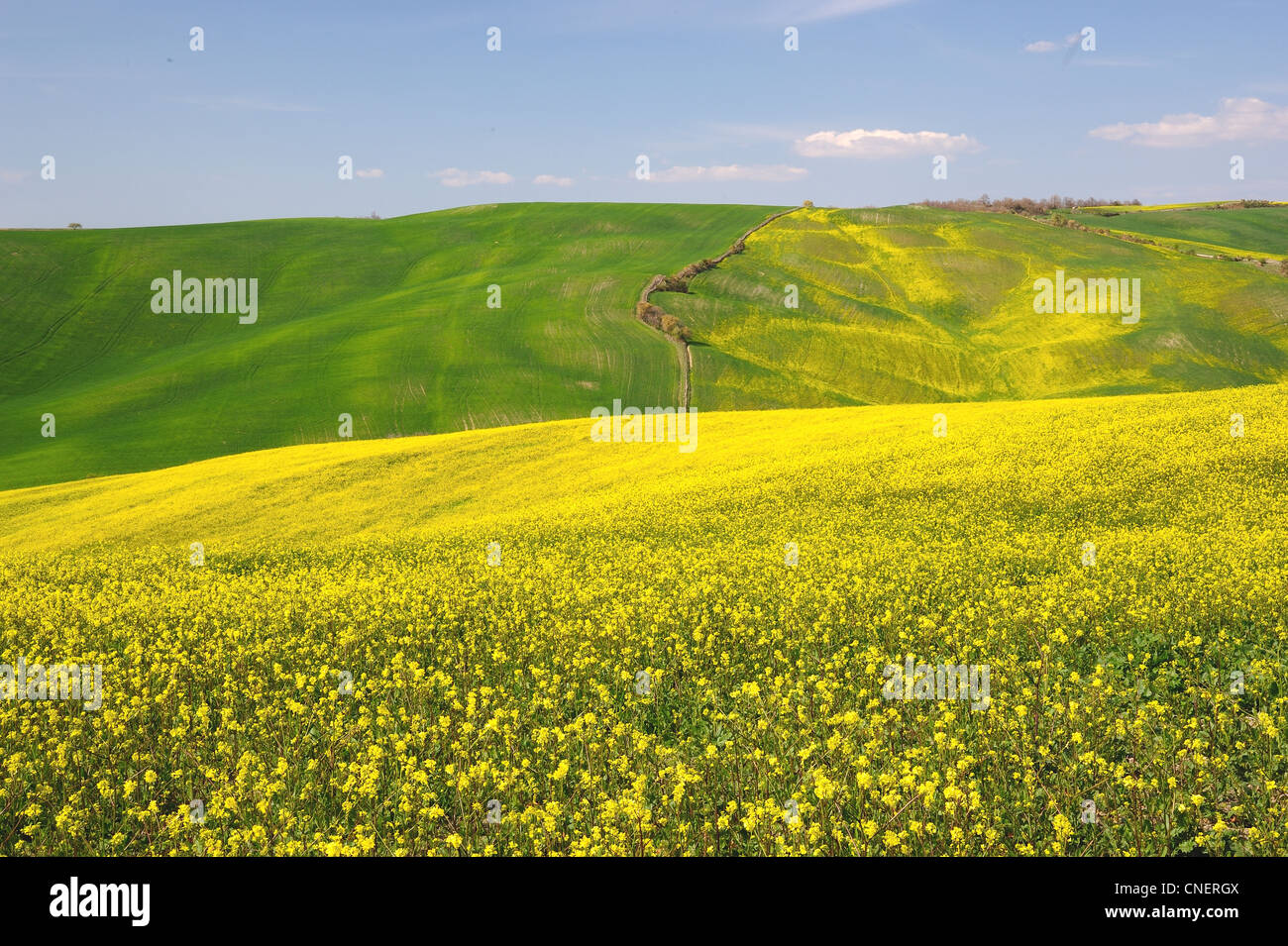 Explosion of colors hi-res stock photography and images - Alamy