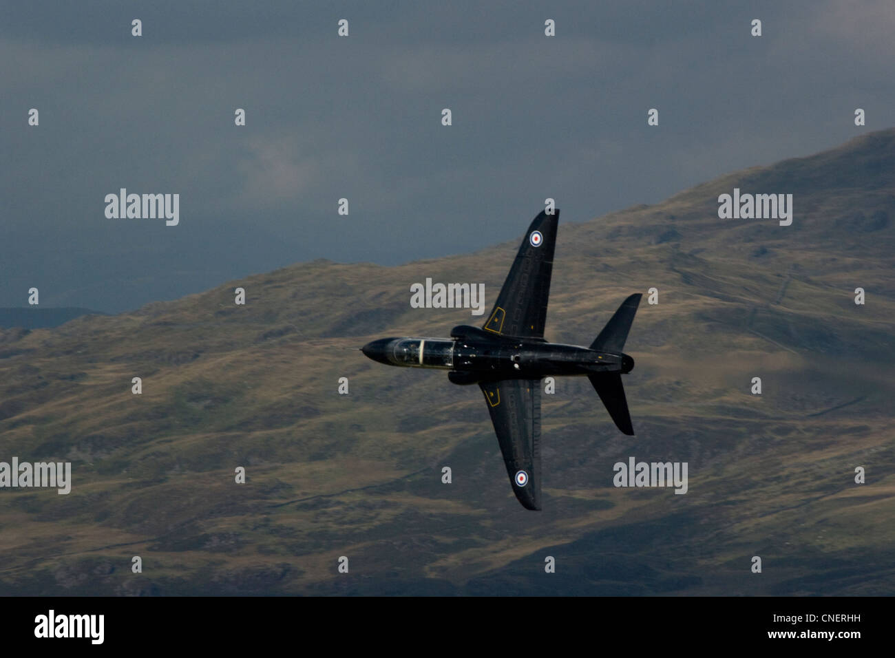 Bae hawk hi-res stock photography and images - Alamy