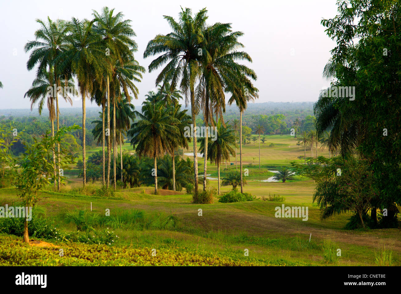 A section of the 18 hole golf course at the Le Meridien Golf Resort in ...