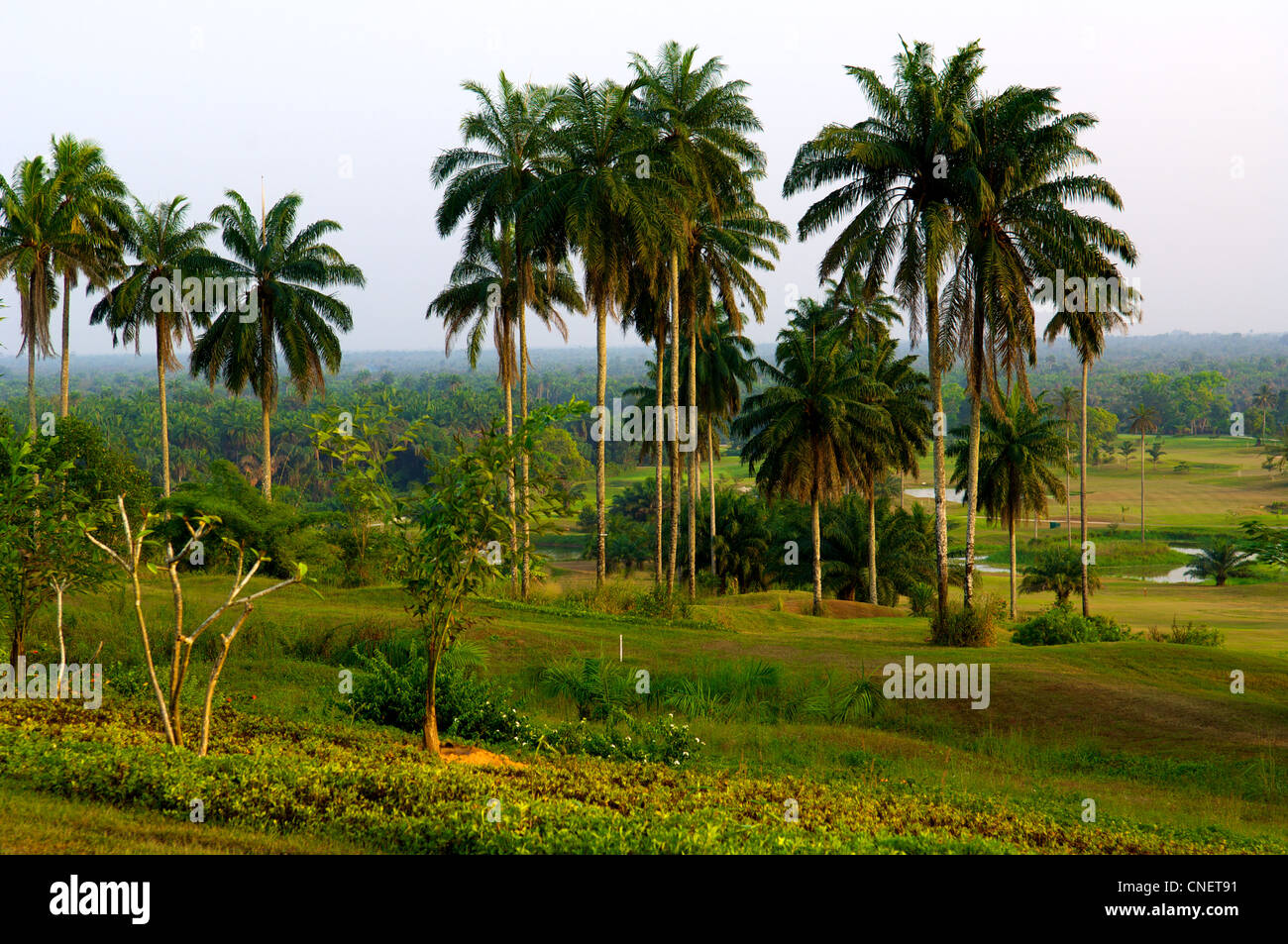 Akwa hi-res stock photography and images - Alamy