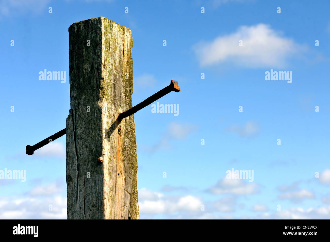 Wooden post with large nail in both sides against a blue sky with white ...