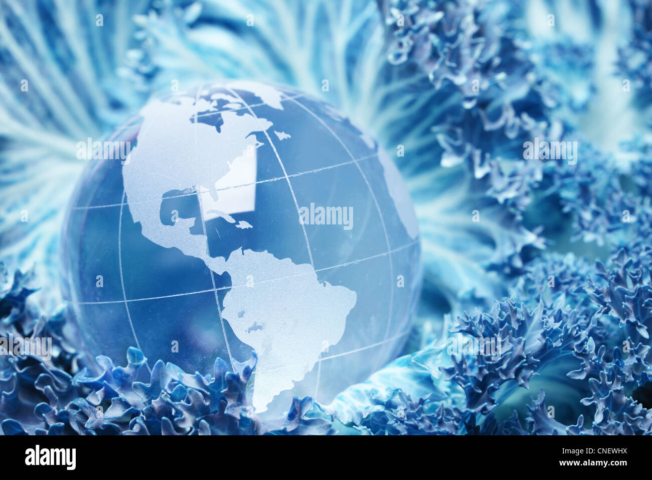 World earth globe global hi-res stock photography and images - Alamy