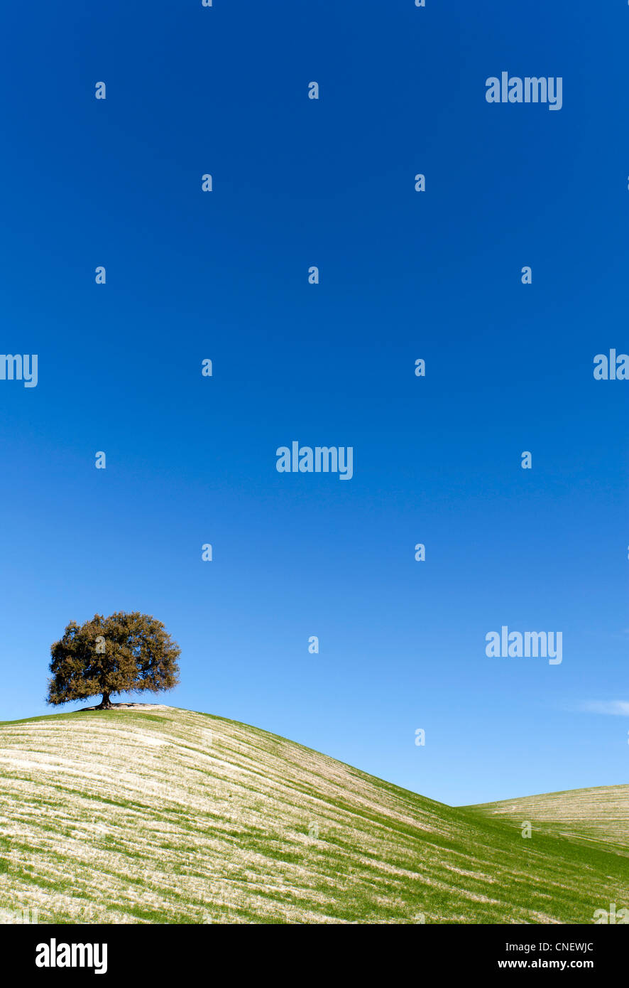 Prado del rey hi-res stock photography and images - Alamy