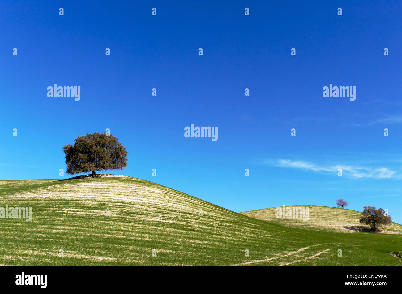 Hills near Prado del Rey, Andalusia, Spain Stock Photo - Alamy