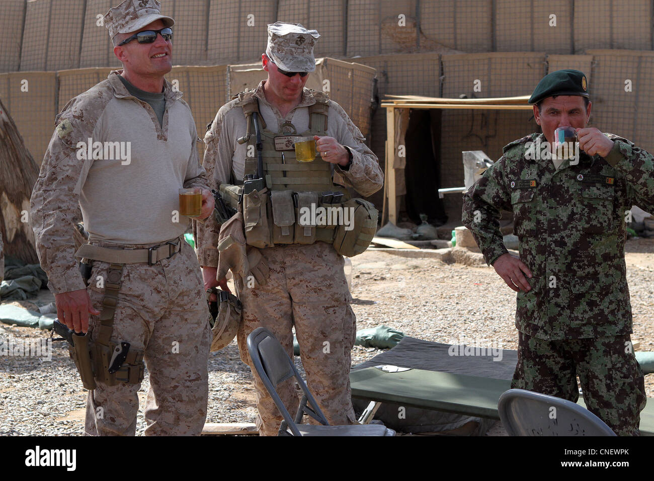 (From left) U.S. Marine Col. Roger Turner, the Regimental Combat Team 5 ...