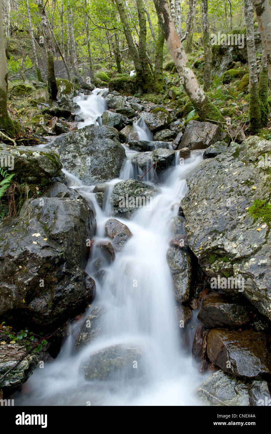 a waterfall running through woods Stock Photo - Alamy