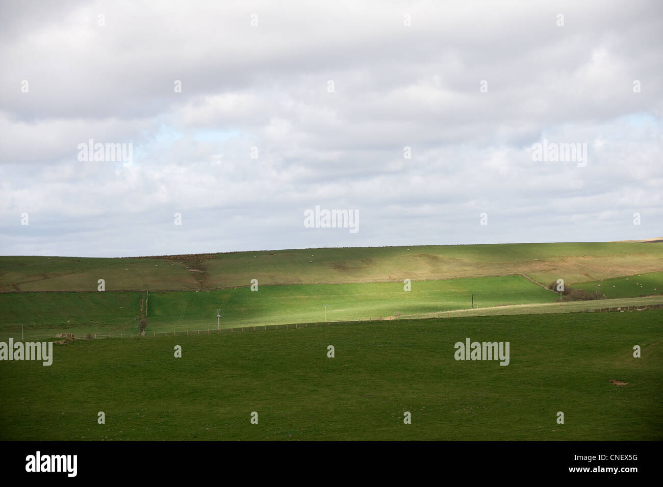 A view across open farm land Stock Photo - Alamy