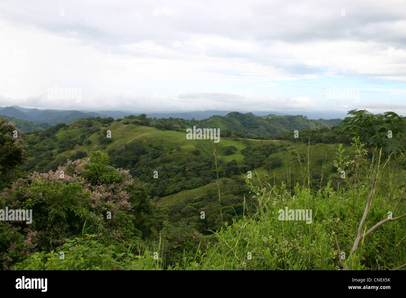 The Monteverde Cloud Forest Reserve, a Costa Rican reserve consisting ...