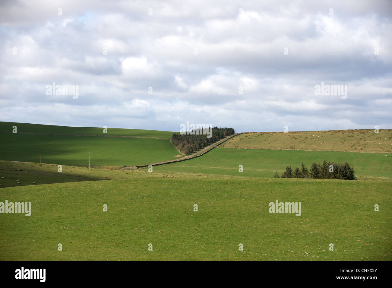 A view across open farm land Stock Photo - Alamy
