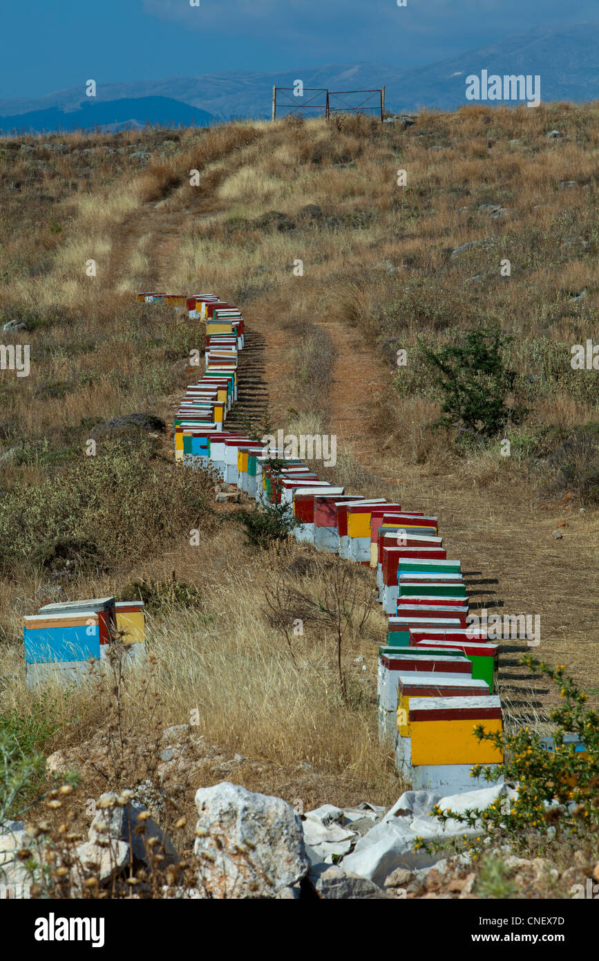 Bee hive boxes hi-res stock photography and images - Alamy