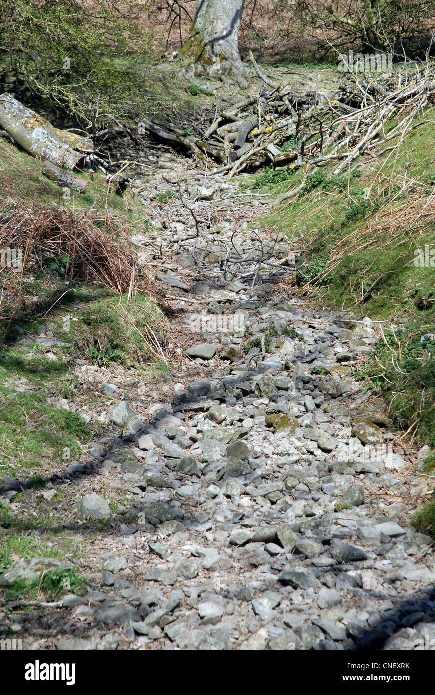 Dried River Stream Bed High Resolution Stock Photography and Images - Alamy