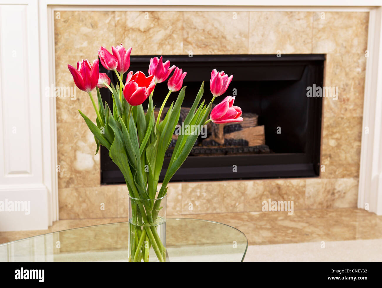 Home large open fire hi-res stock photography and images - Alamy