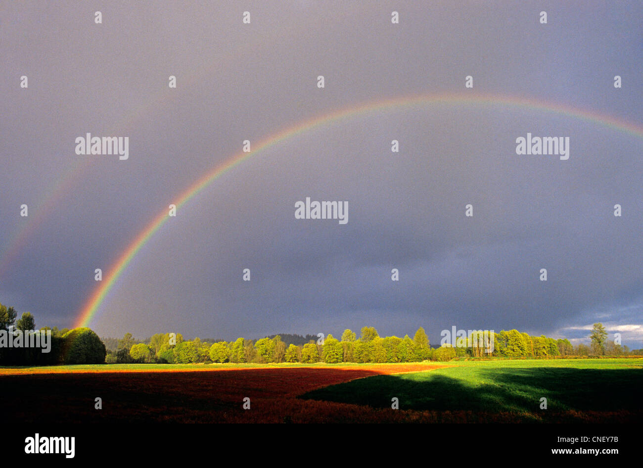 Rainbow striking hi-res stock photography and images - Alamy
