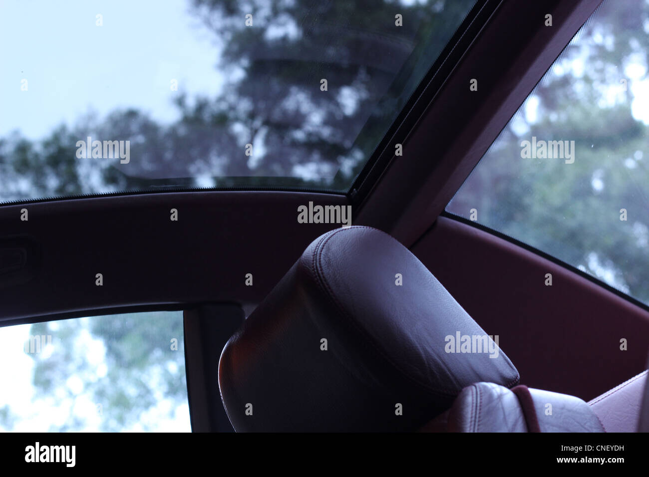 Glass Roof of a car Stock Photo - Alamy