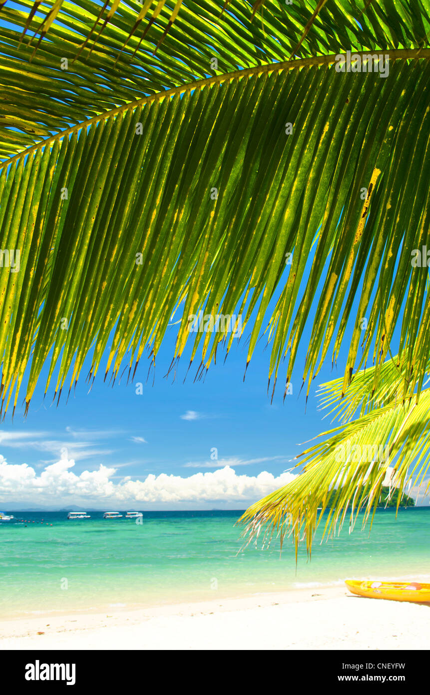 Manukan island hi-res stock photography and images - Alamy