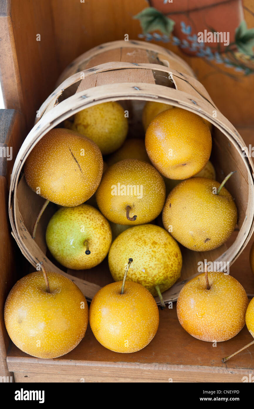 Asian pear hi-res stock photography and images - Alamy