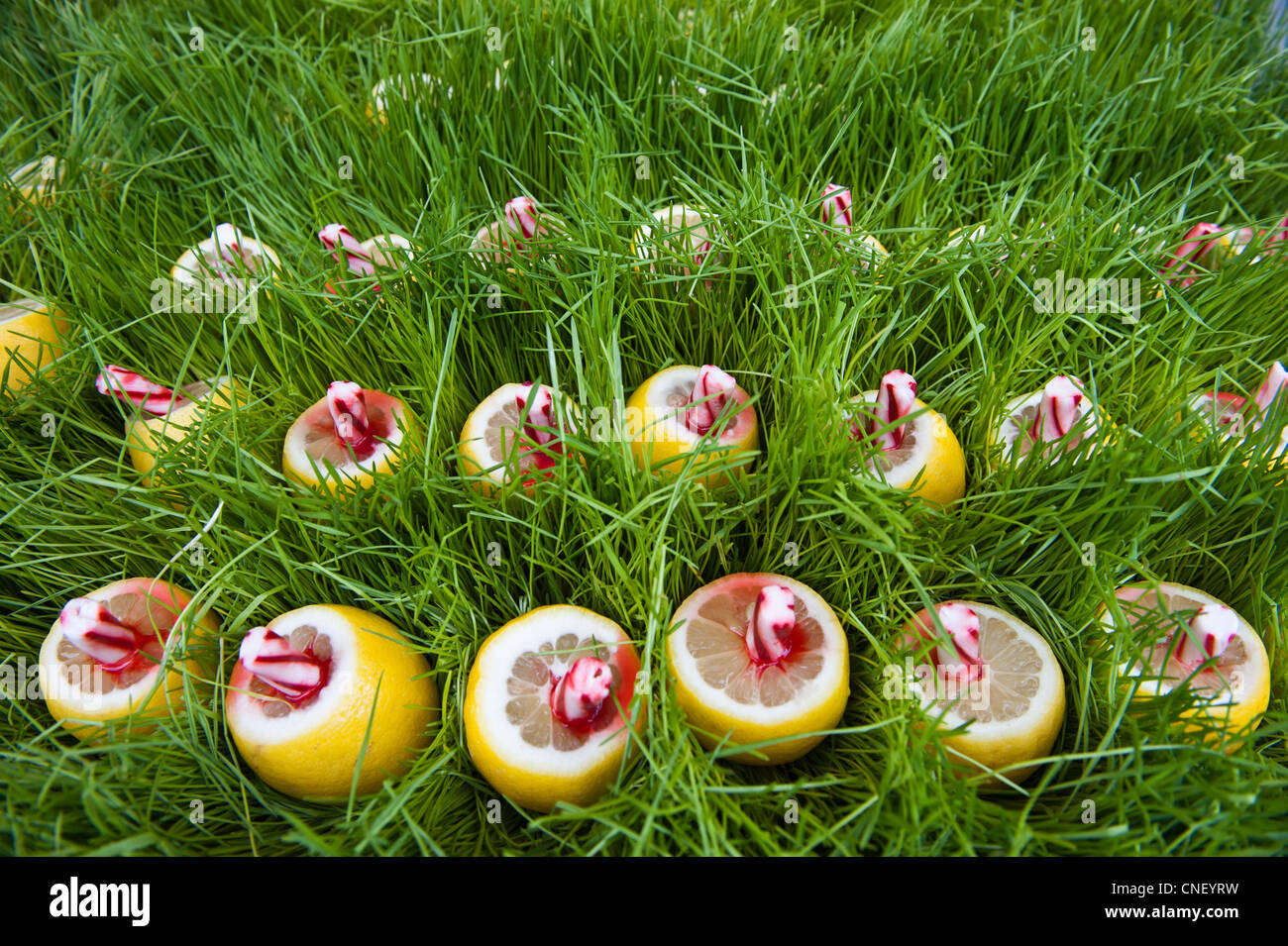 Lemon peppermint hi-res stock photography and images - Alamy