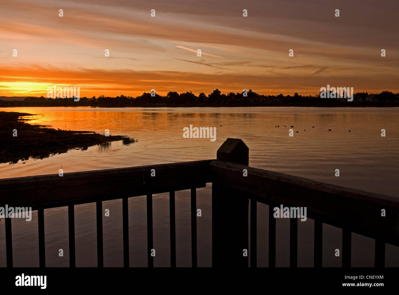 Alameda california hi-res stock photography and images - Alamy