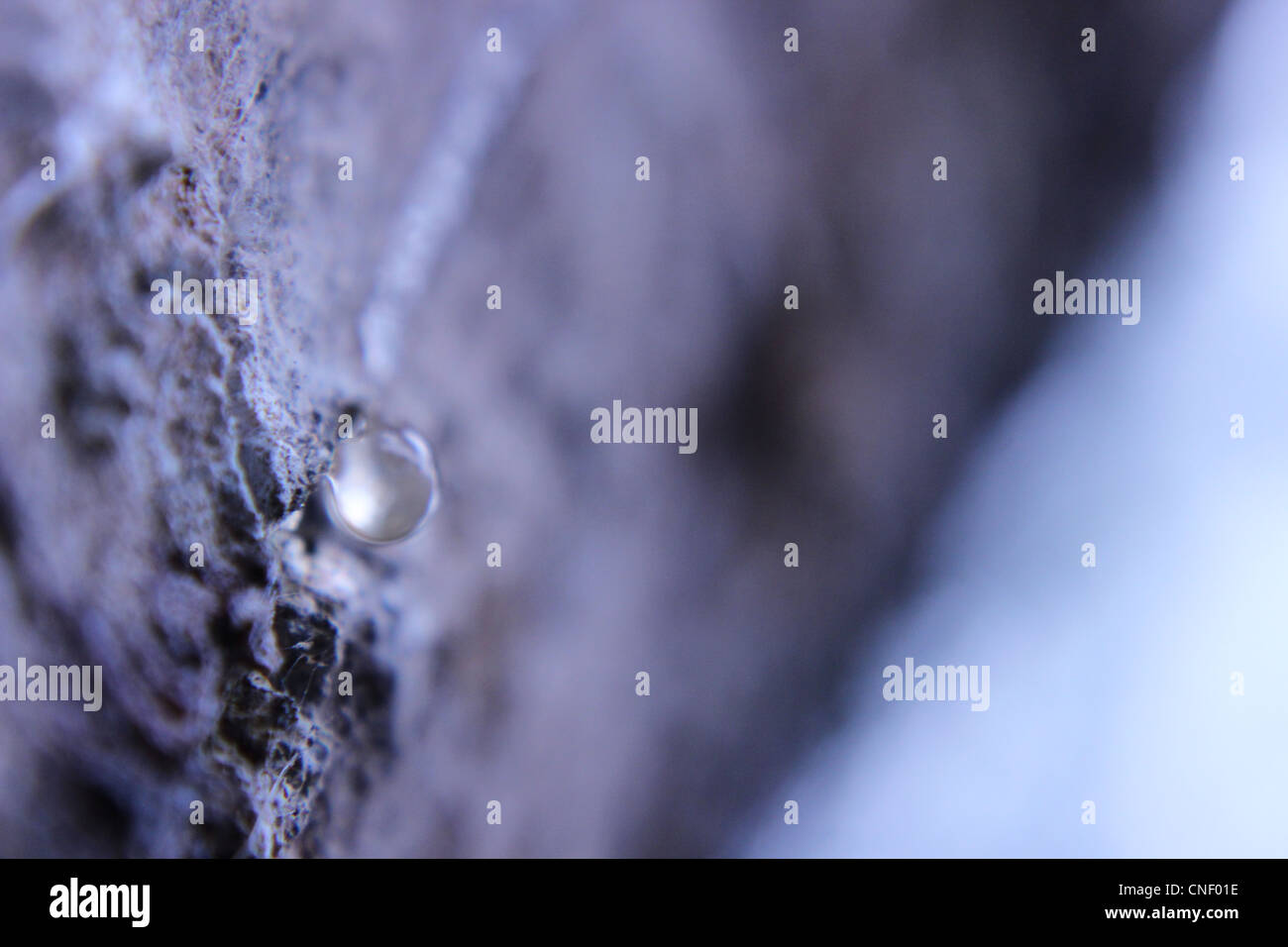 A single drop of tree sap or resin rolling down Stock Photo - Alamy