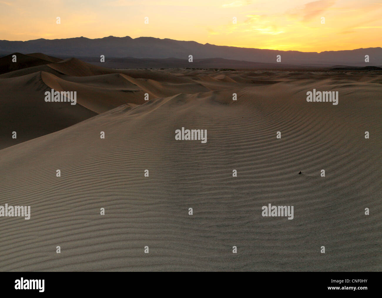 Death valley sand waves hi-res stock photography and images - Alamy