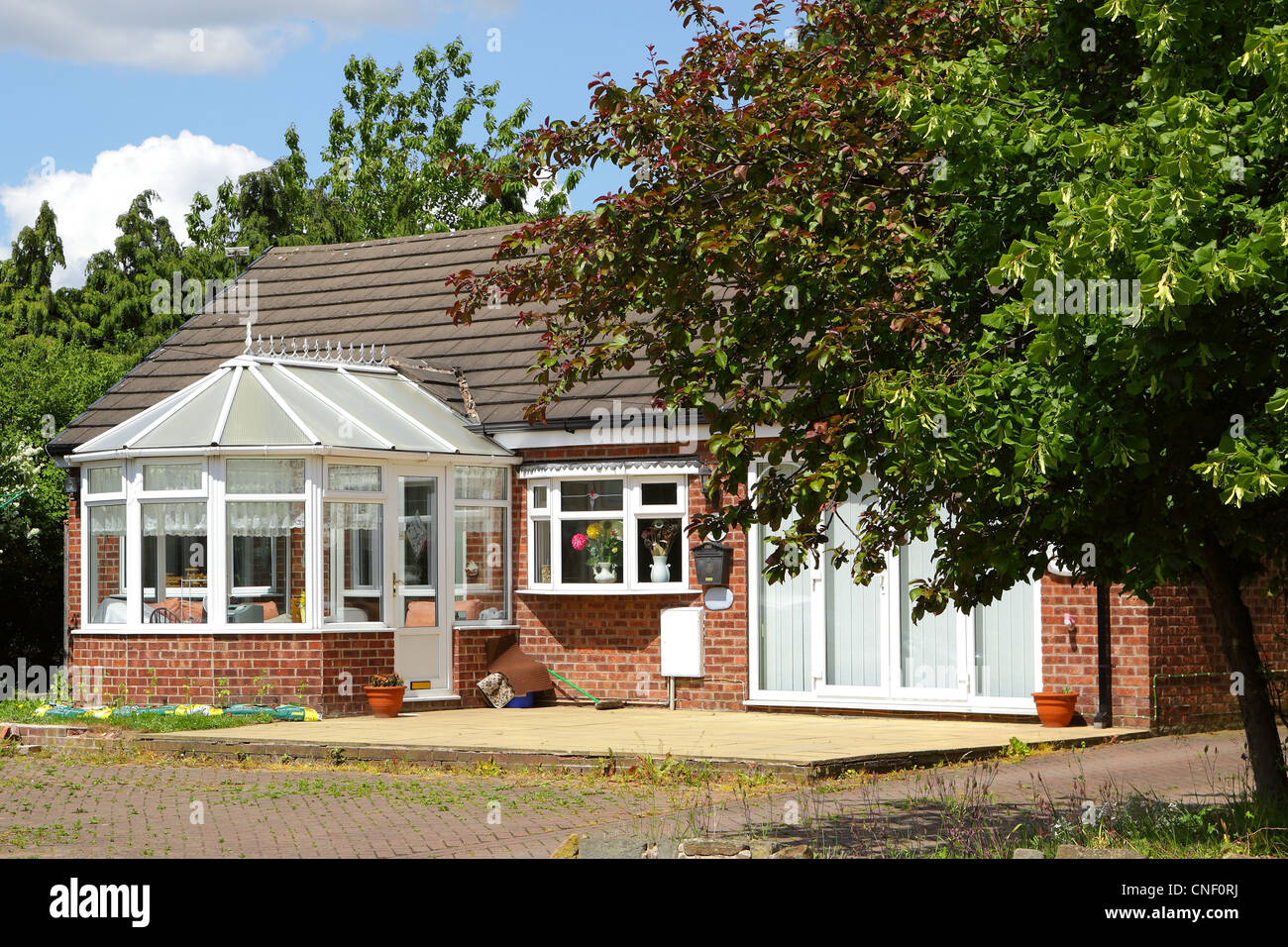English suburban garden tree hi-res stock photography and images - Alamy